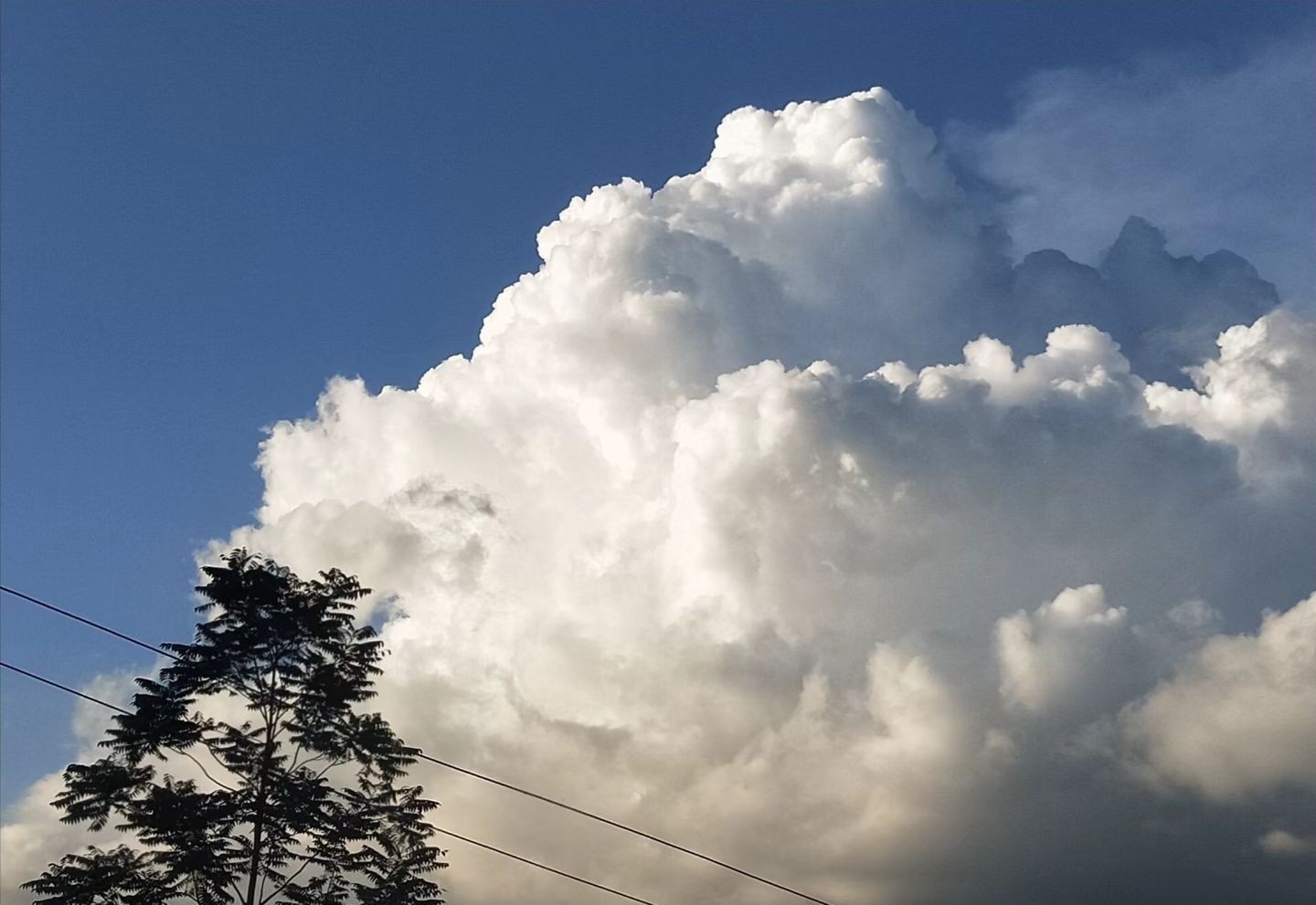 "永远愿意为浪漫驻足"_Z074951789-站酷ZCOOL