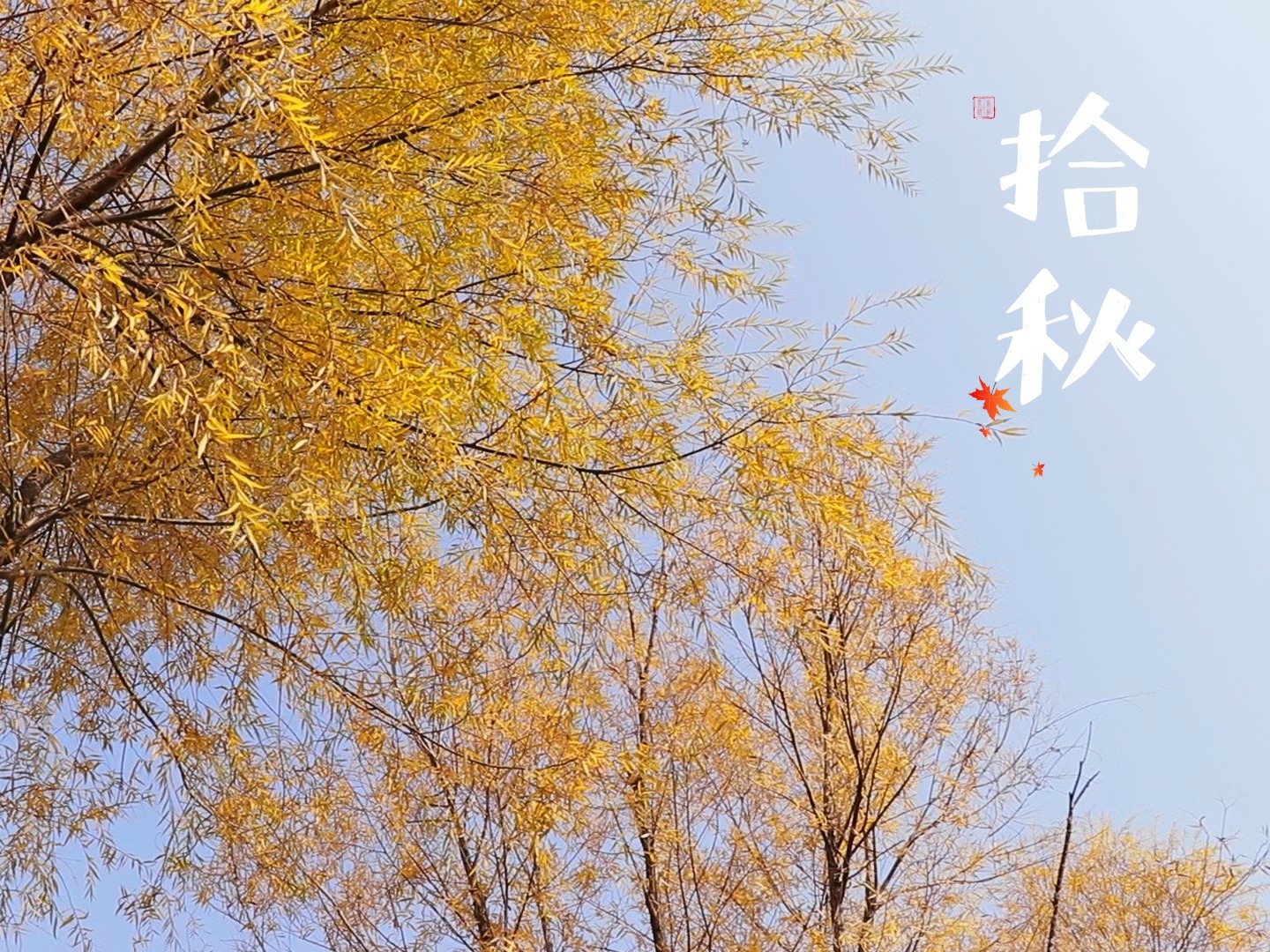 拾秋_Tol去发现美-站酷ZCOOL