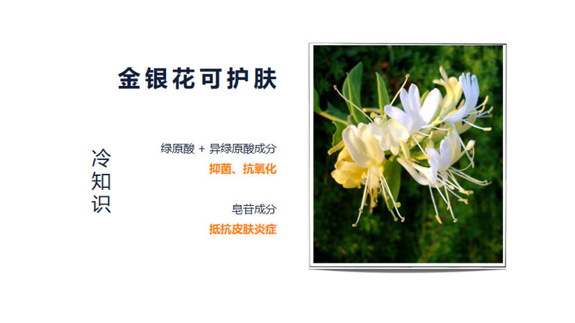 2021花瑶花 · 护肤品品牌定位思考方案 -68P_精英策划圈-站酷ZCOOL