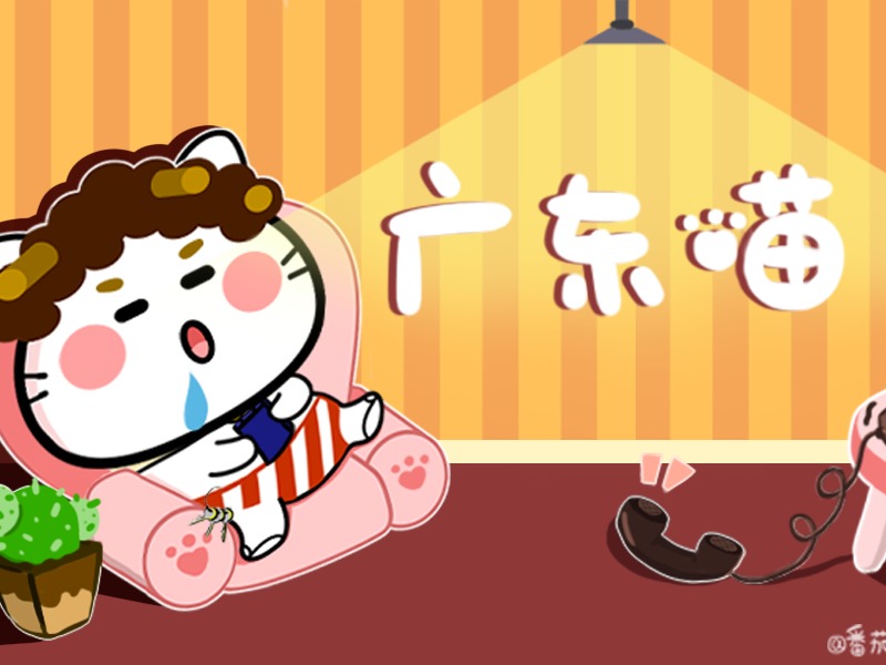 微信表情包《广东喵》_番茄炒BUBU蛋-站酷ZCOOL