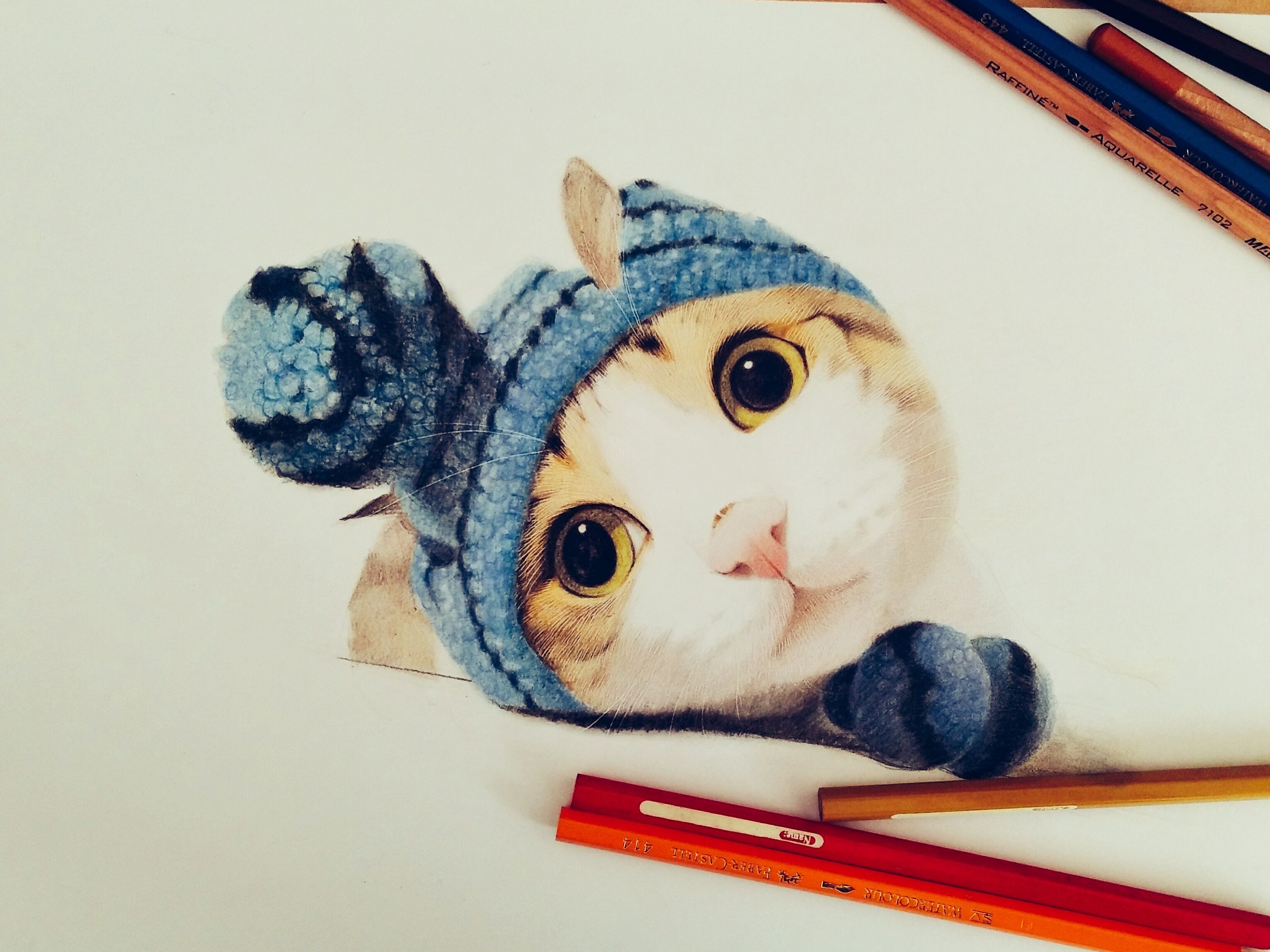 戴帽子的猫_李少侠-站酷ZCOOL