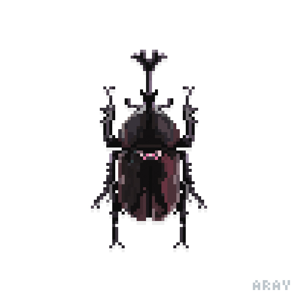 昆虫记·独角仙图鉴P1_Aray浩一-站酷ZCOOL