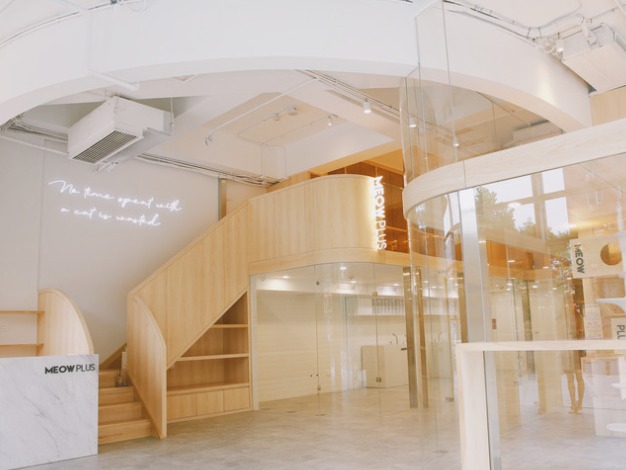 Meow Plus 喵 谁设计的 那家（哪个）公司设计的_网红店密探-站酷ZCOOL