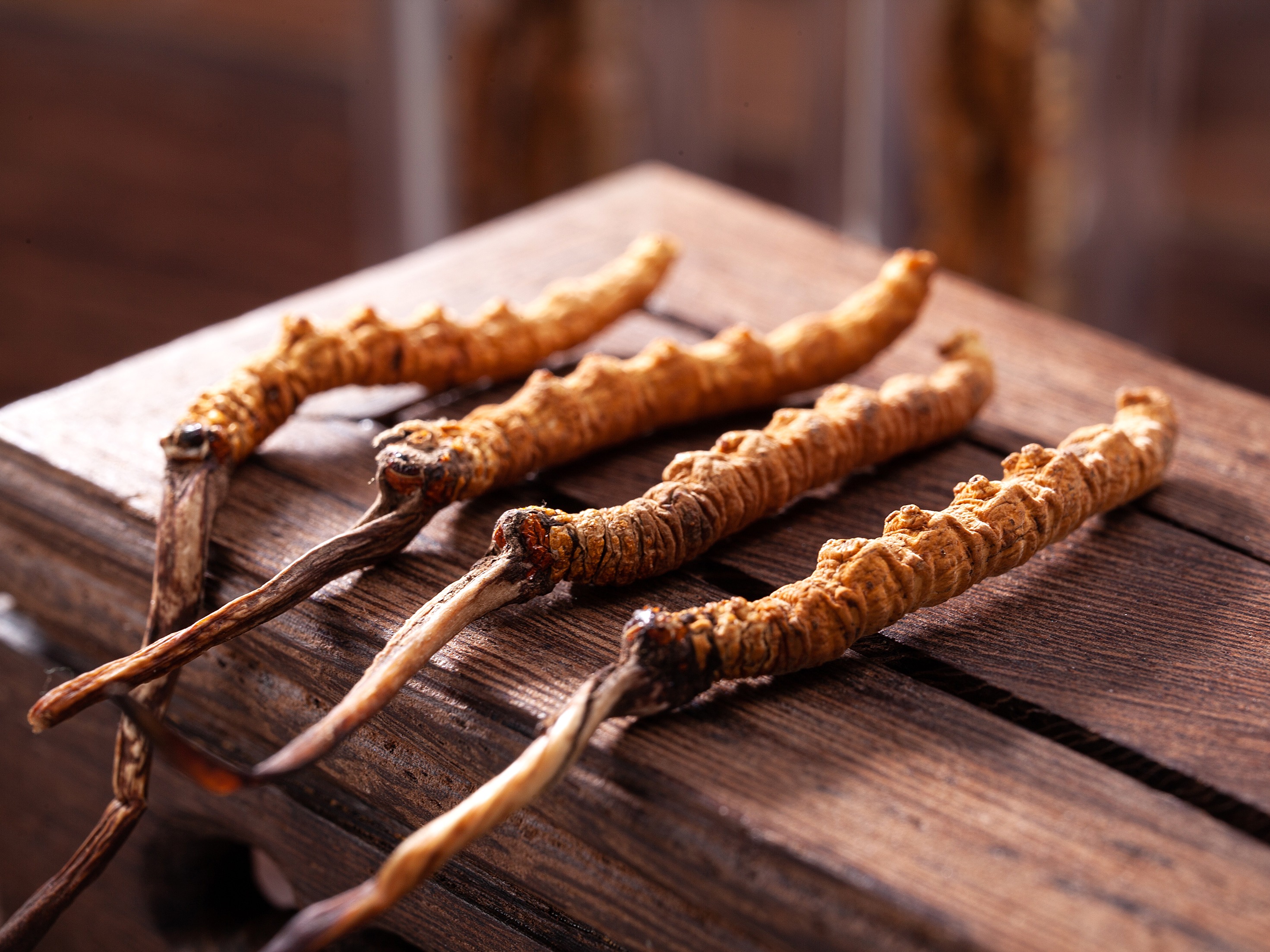 冬虫草产品拍摄 产品寄拍 视频制作 滋补拼摄影_岭南视觉-站酷ZCOOL