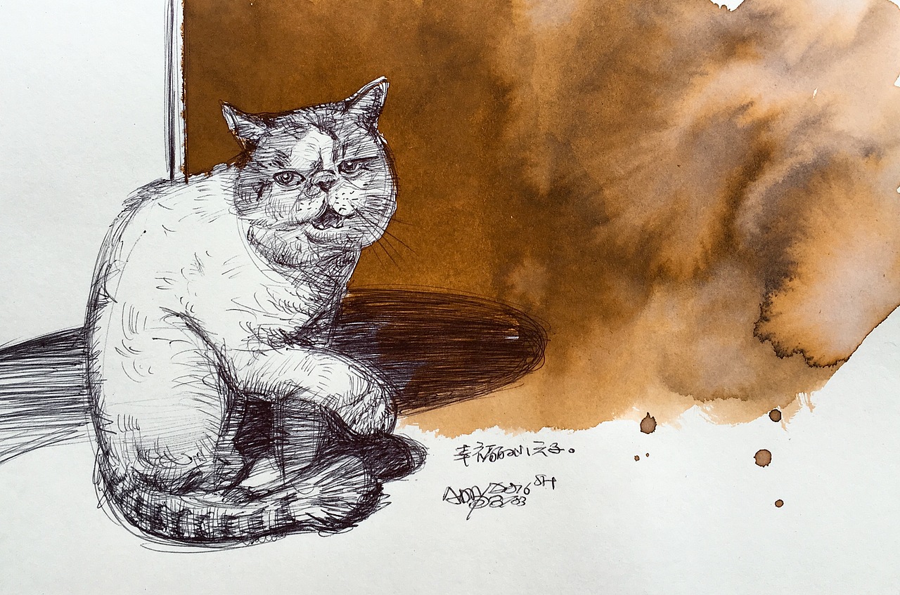 【幸福的小六子】_addysoho-站酷ZCOOL