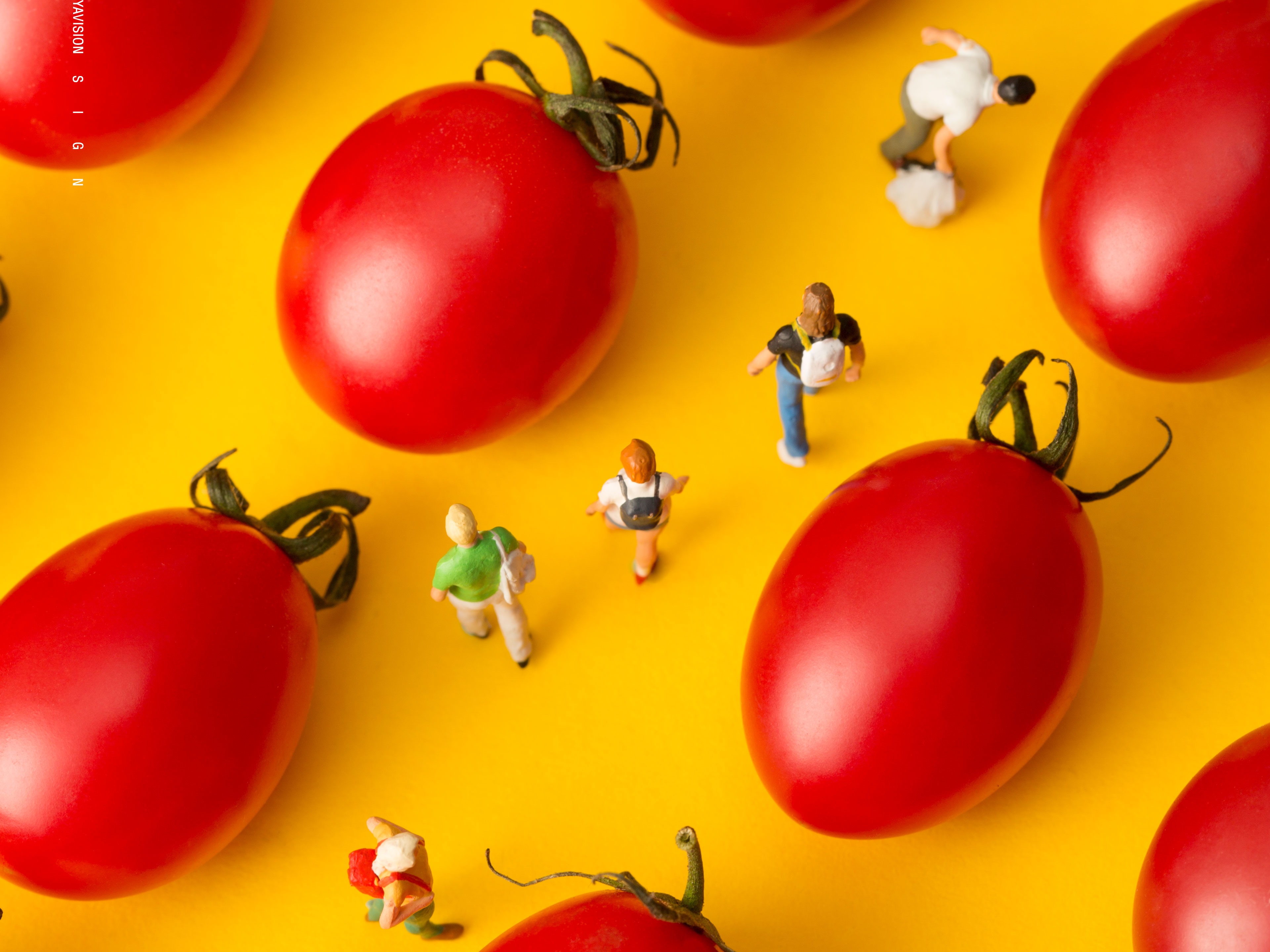 微缩场景摄影_时摄语-站酷ZCOOL