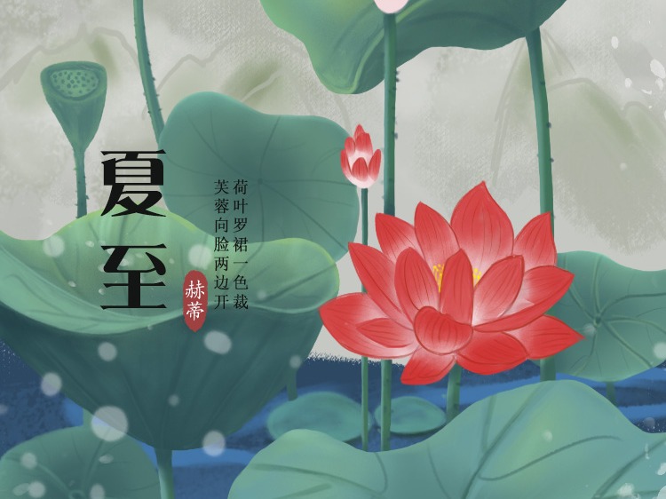 夏至_赫蒂hedy-站酷ZCOOL