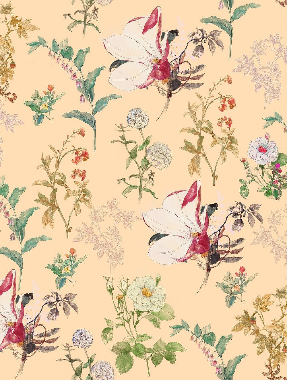 识药材，食药材_悠悠zyj-站酷ZCOOL