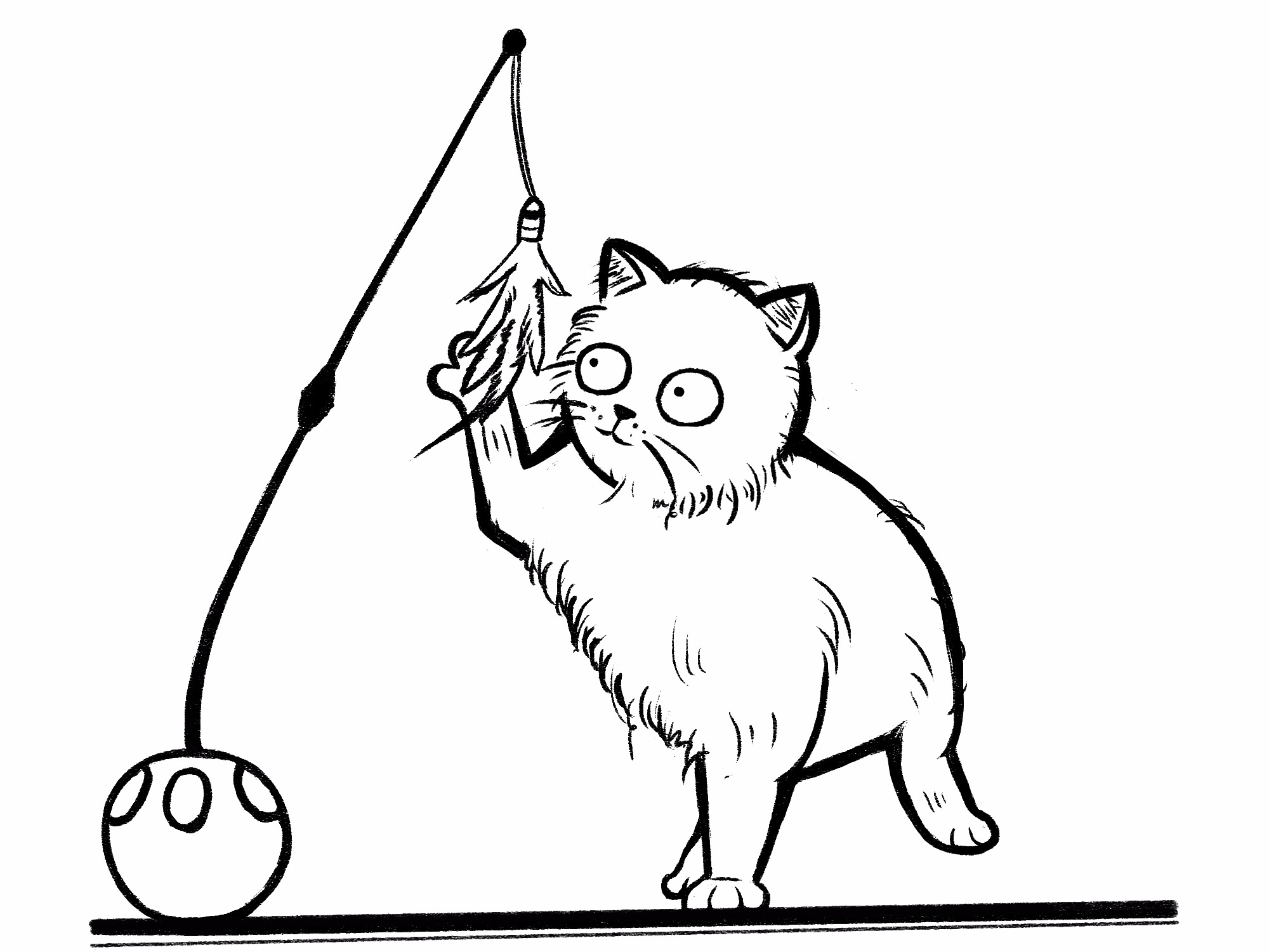 猫咪戏耍_Zora_Hao-站酷ZCOOL