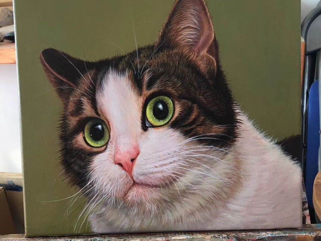 猫_简猫-站酷ZCOOL