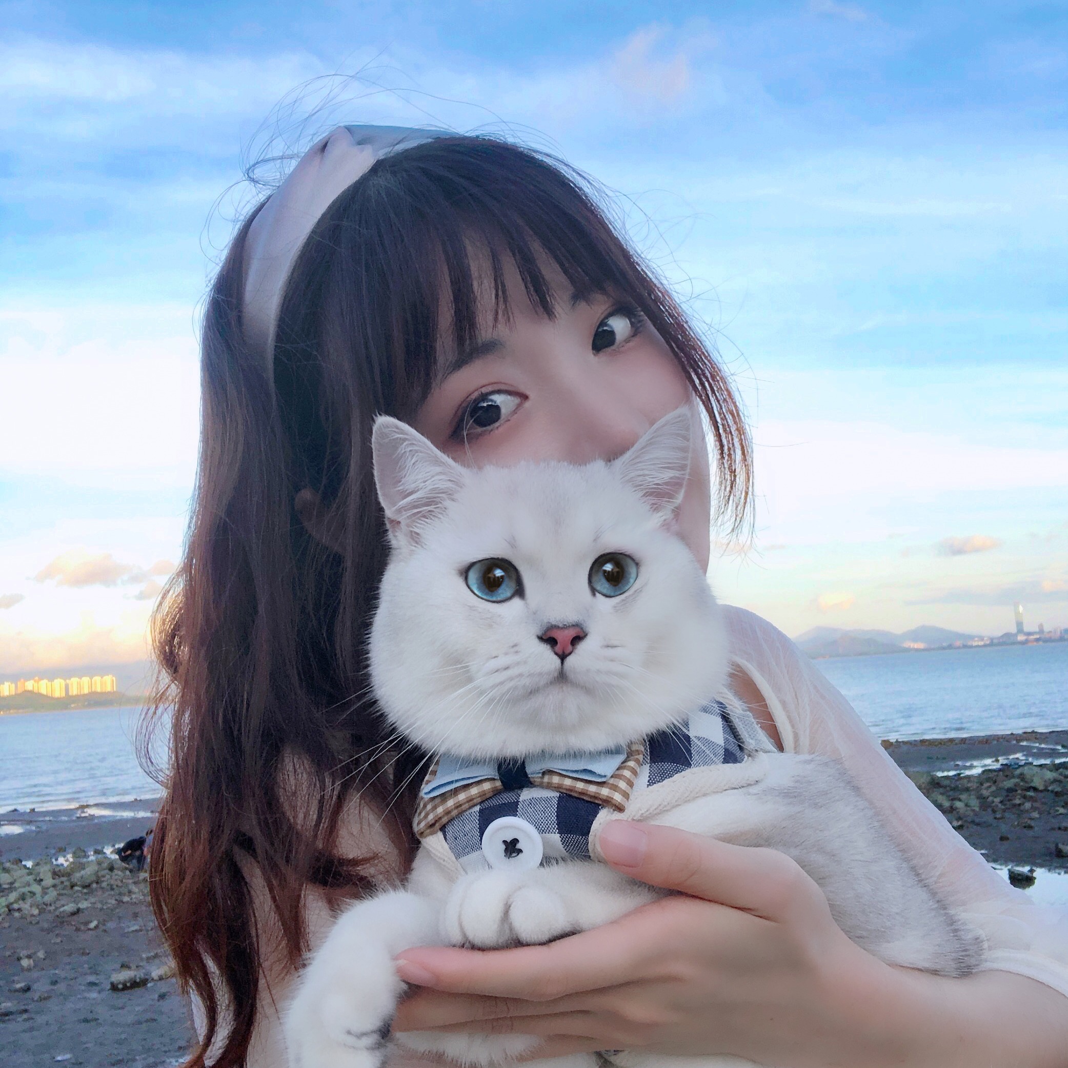 Alisa红创作者主页_深圳设计爱好者-站酷ZCOOL