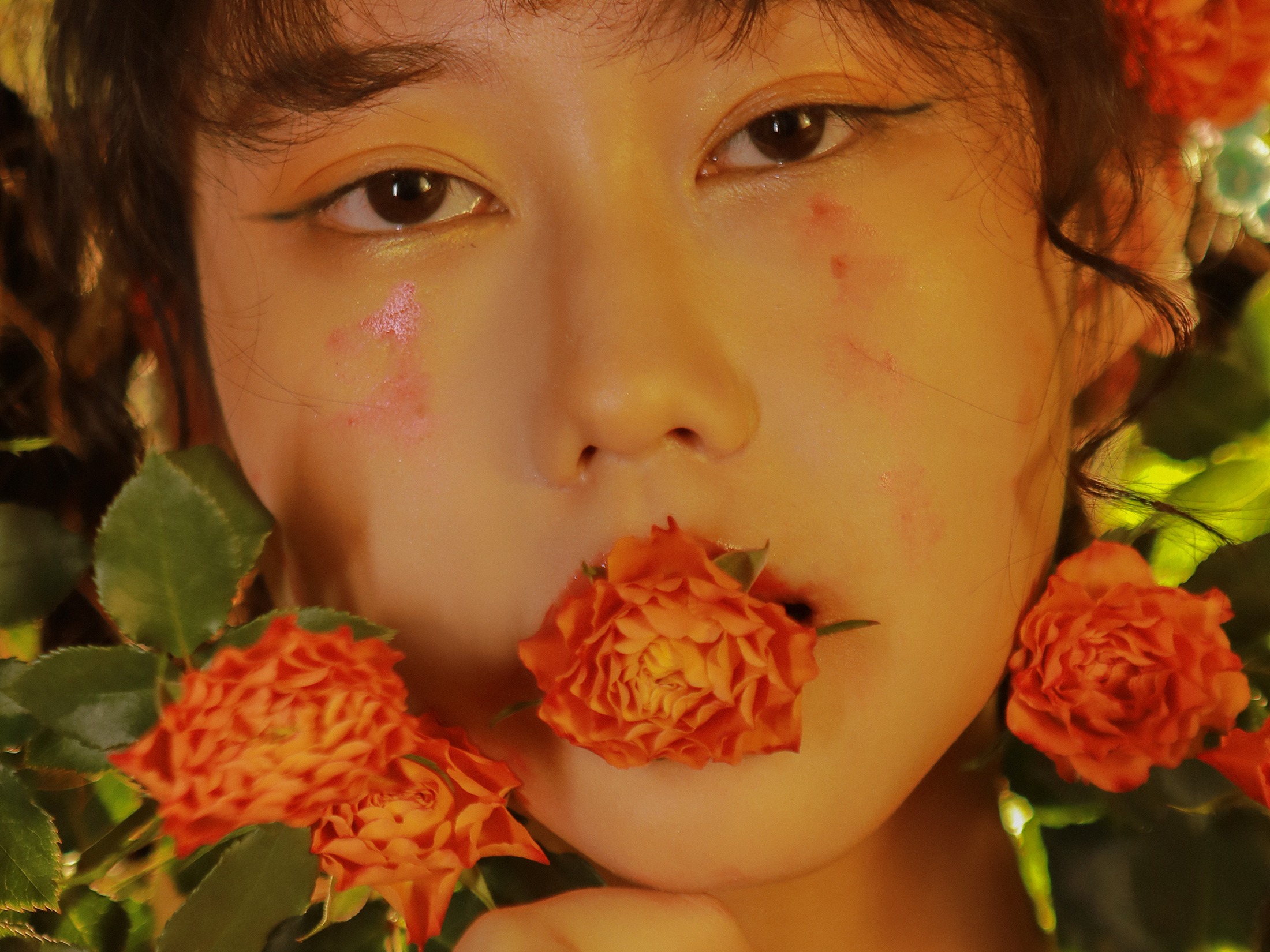 花嫁_太阳酱Catnip-站酷ZCOOL