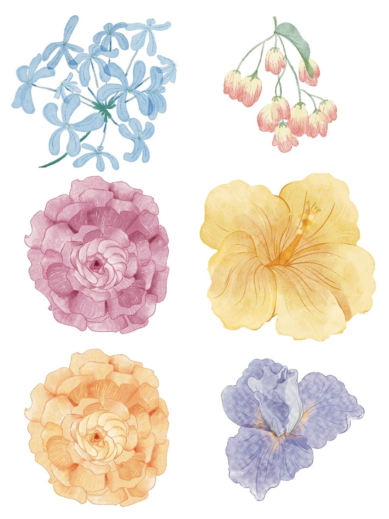 是花花🌸吖_Zoe品懿懿在画画-站酷ZCOOL