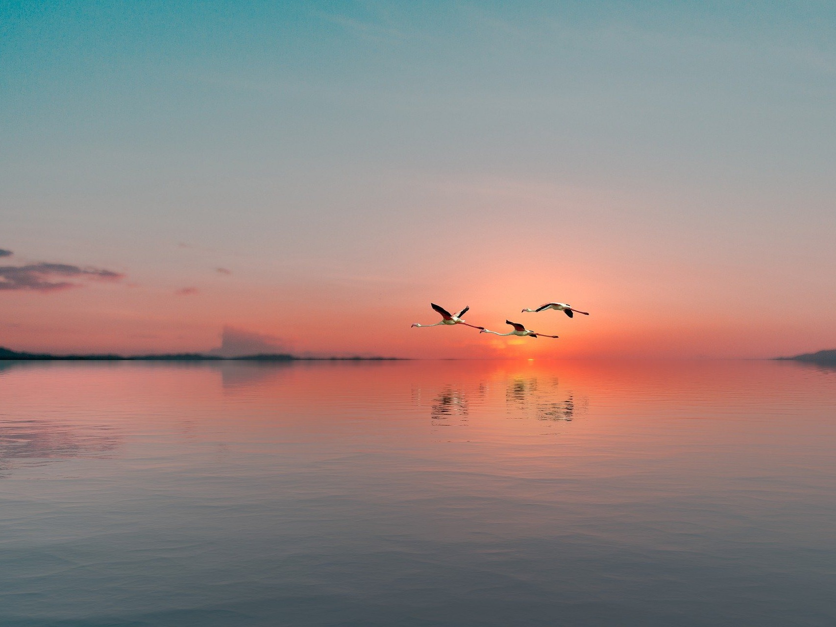 1_leewnln-站酷ZCOOL