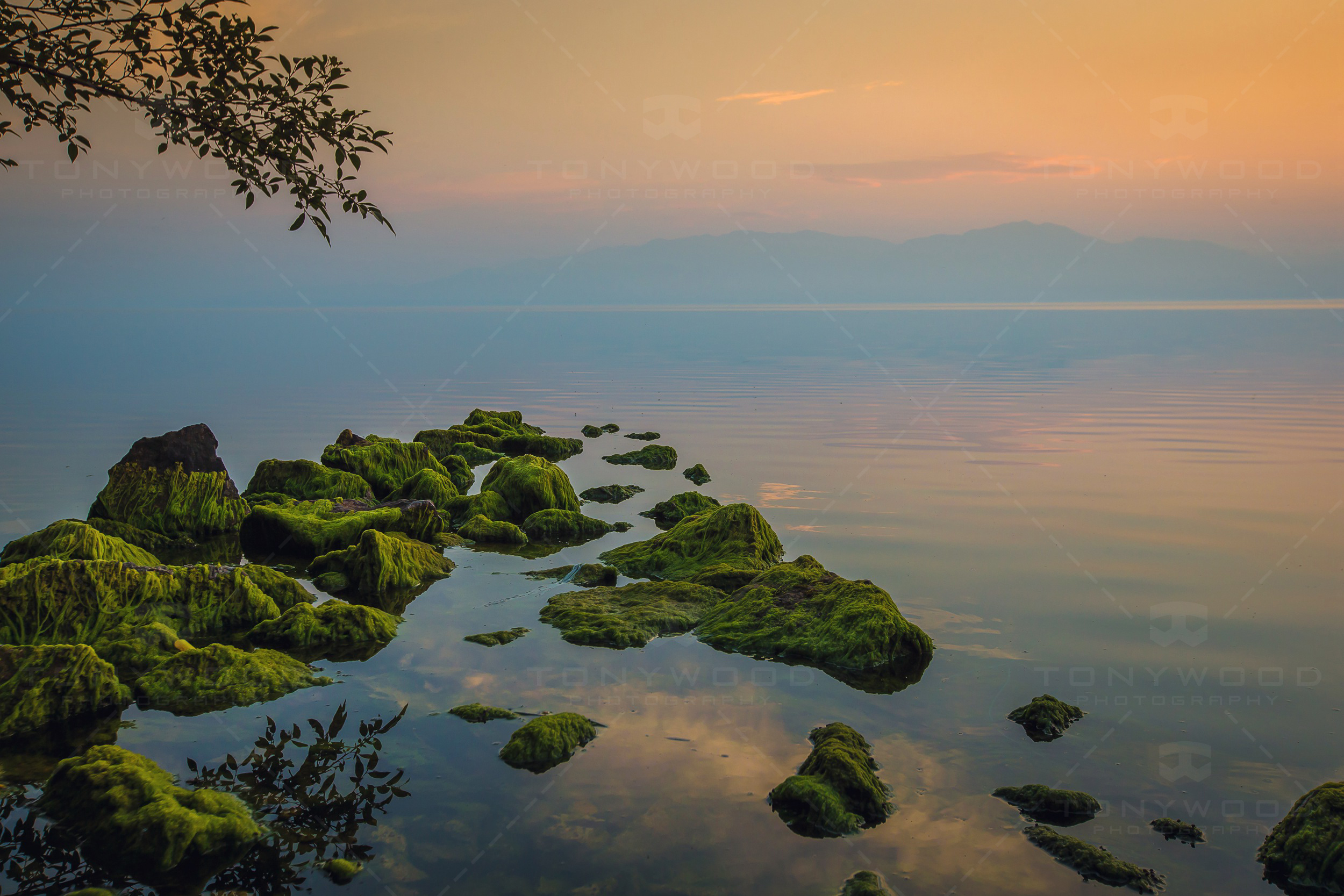 风光摄影 | 抚仙湖东岸掠影_ANLAU-站酷ZCOOL