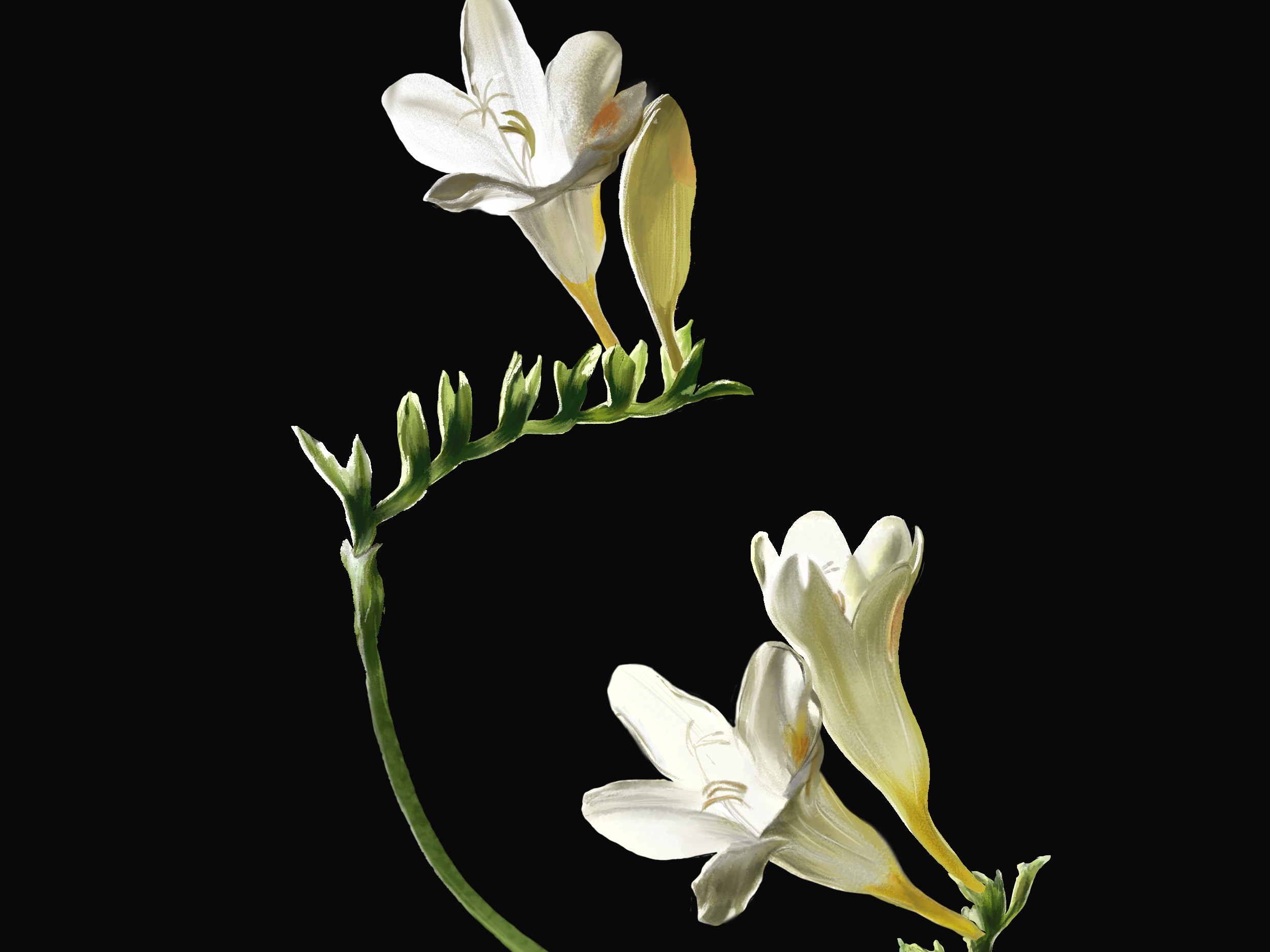 日常_游越collins-站酷ZCOOL