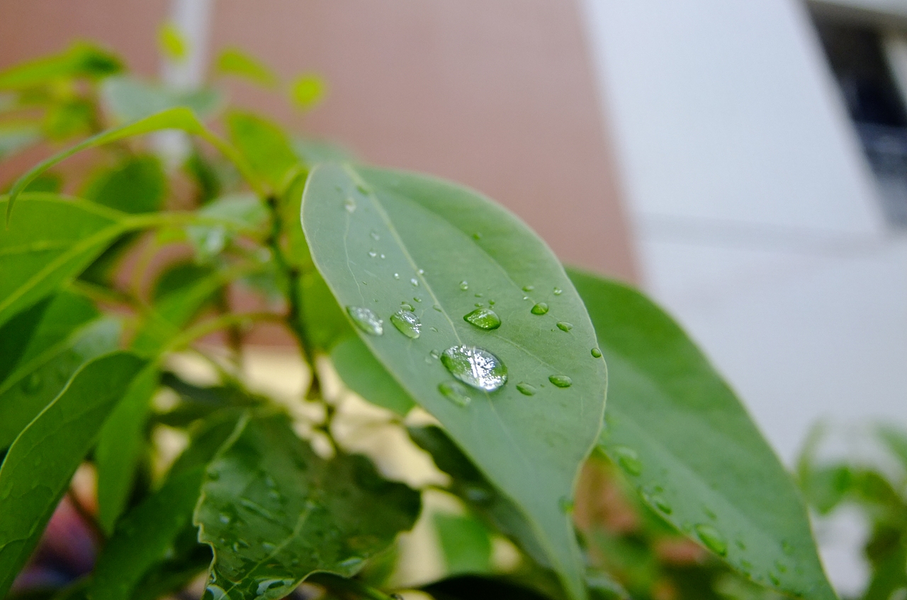 bluecipher不入流的涂鸦小视频_bluecipher-站酷ZCOOL