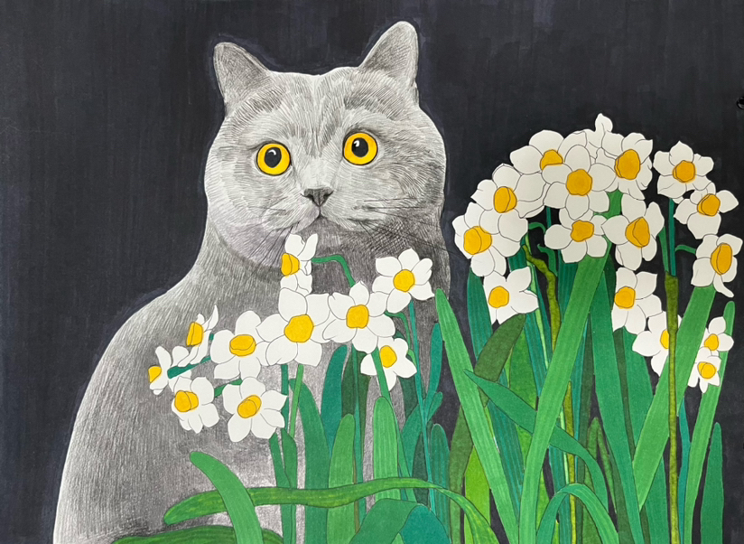 水仙花_rena01001-站酷ZCOOL