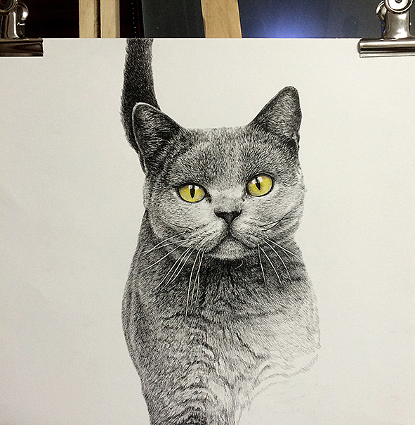 Cat喵仔_ohwa俊桦-站酷ZCOOL