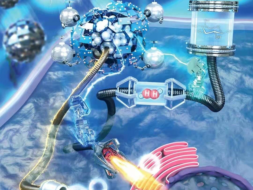 杂志封面设计科研画图TOC示意图学术文章配图SCI绘图_红烧鲈鱼-站酷ZCOOL