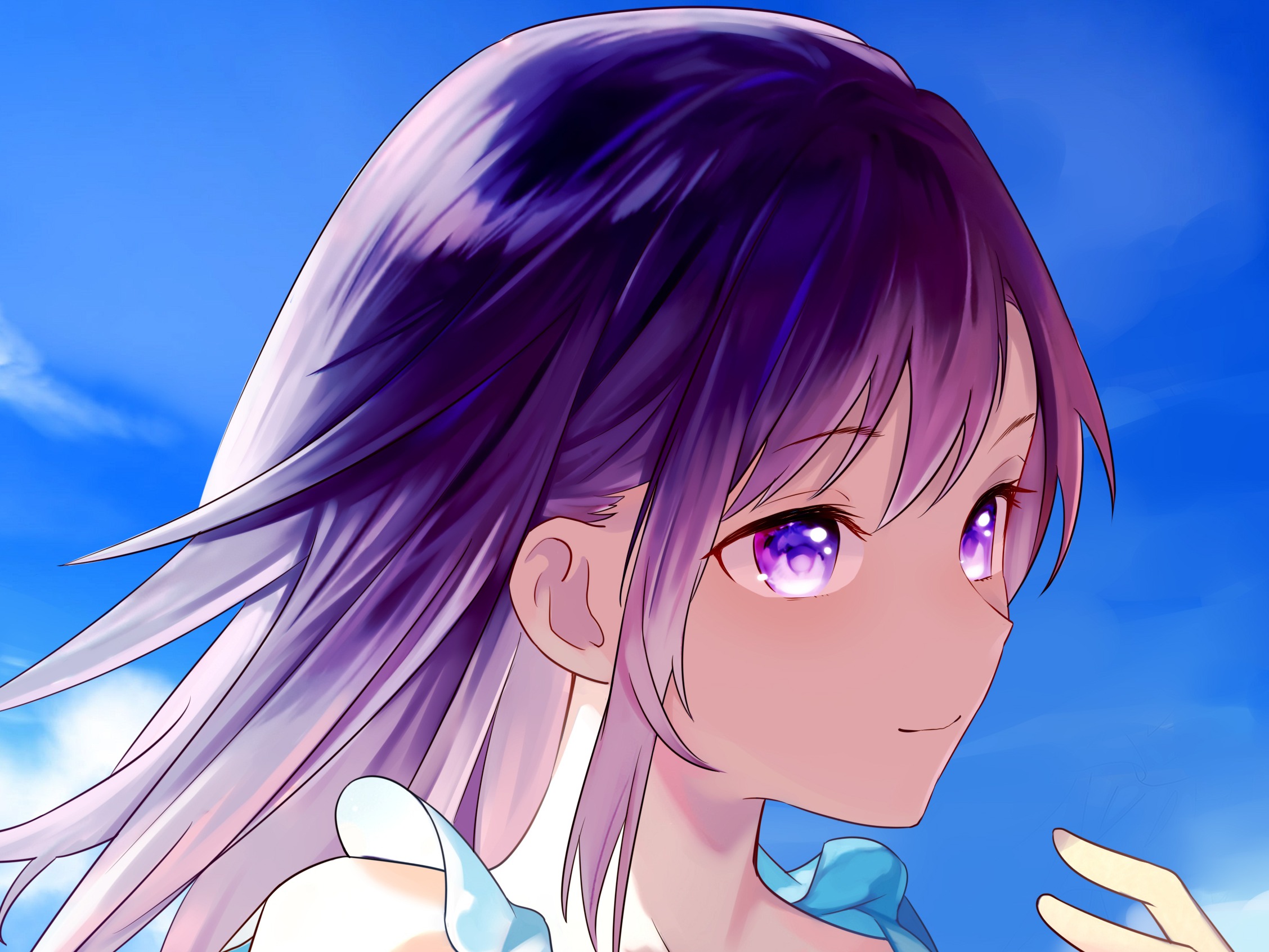 插图_Gekas-站酷ZCOOL