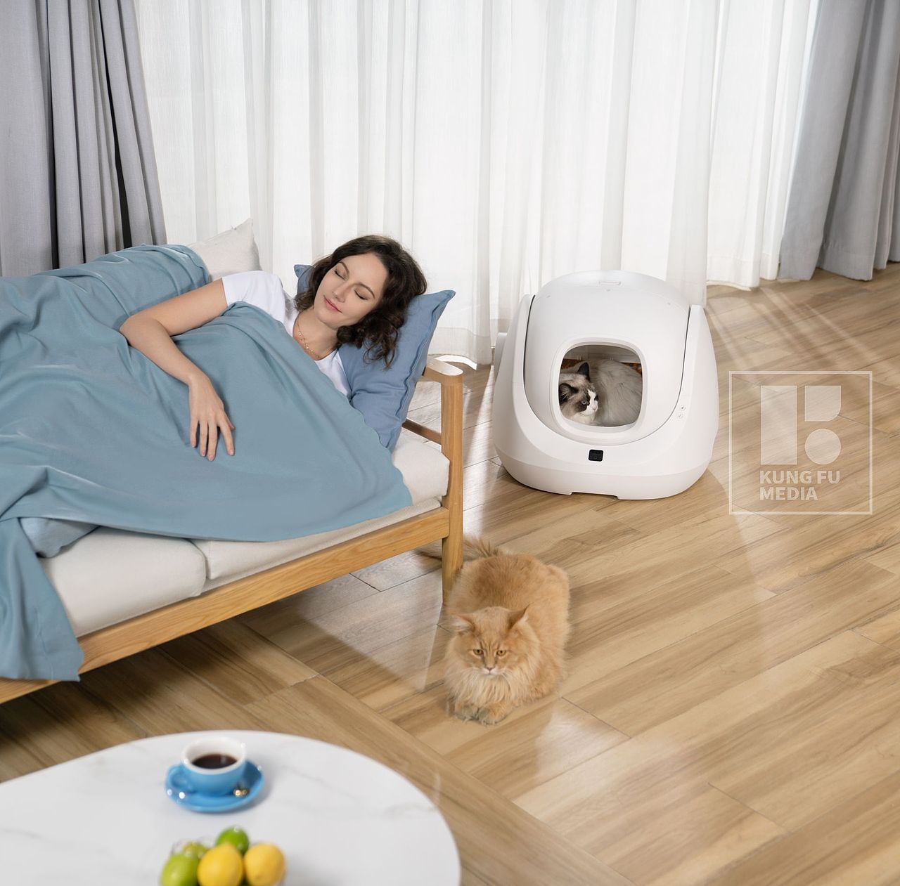CATLINK小白智能猫砂盆平面拍摄图_KUNGFU功夫-站酷ZCOOL