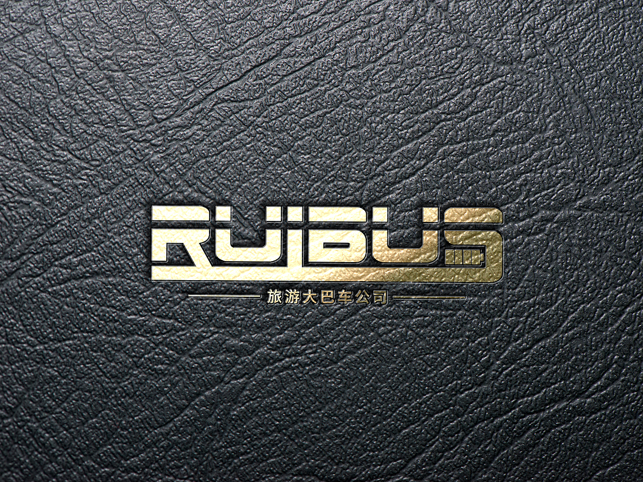 LOGO 旅游大巴车 汽车大巴 旅游专车 长途巴士车 logo _未来之王-站酷ZCOOL