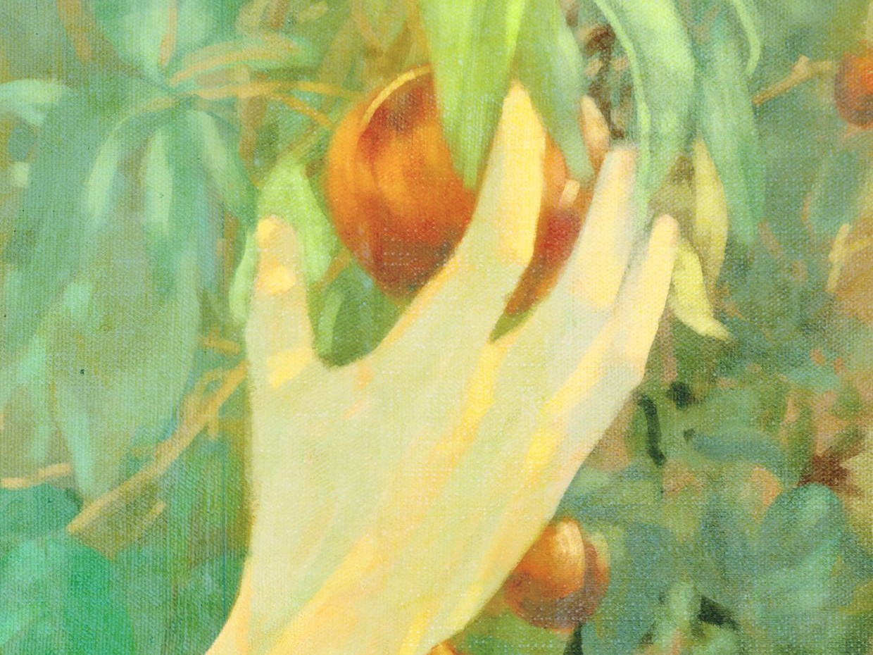 文艺复星球11月大逃杀 day6_丛丛爱吃葱-站酷ZCOOL