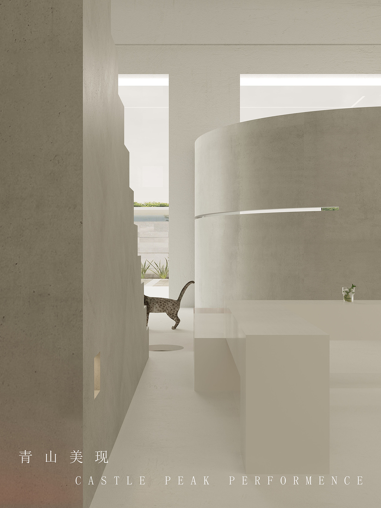 Cat Shop · 一家独特宠物店|空间|家装设计|青山美现_原创作品-站酷ZCOOL