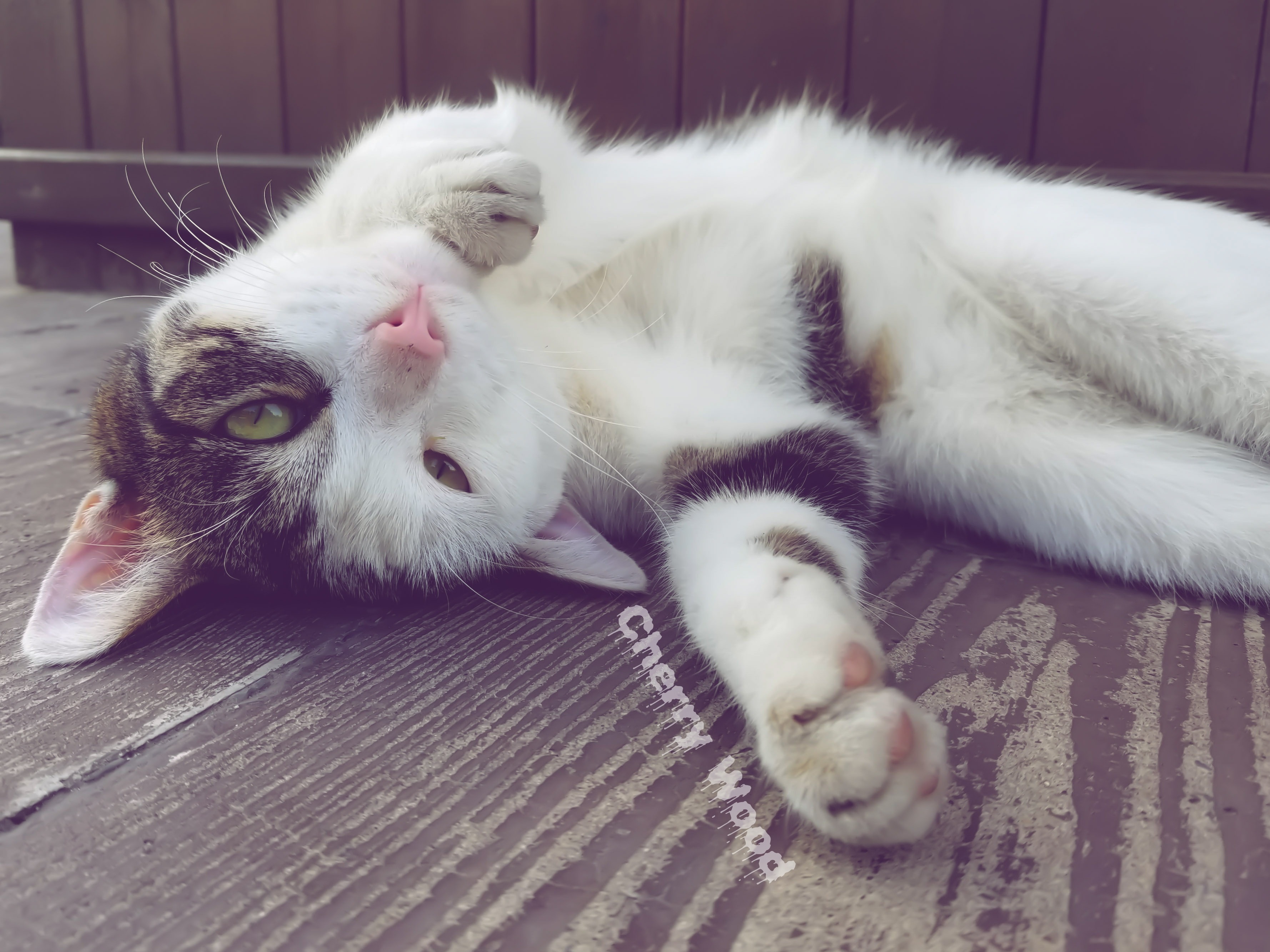 我与海盗船长的羞耻play_Yee见过-站酷ZCOOL