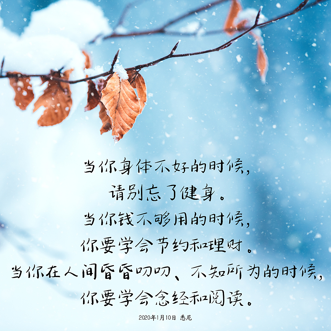 人生感悟语录新种子cy 站酷zcool
