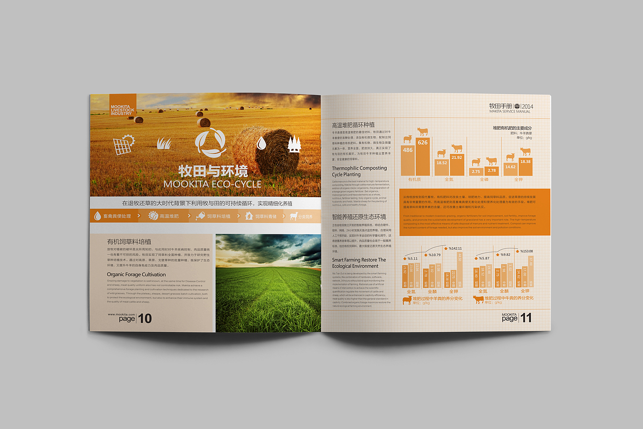 mookita画册_安宁aiden-站酷ZCOOL