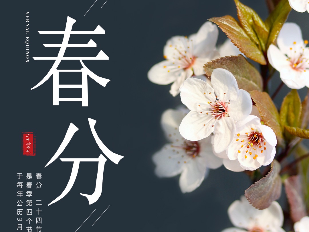 春分_向彬boxx-站酷ZCOOL