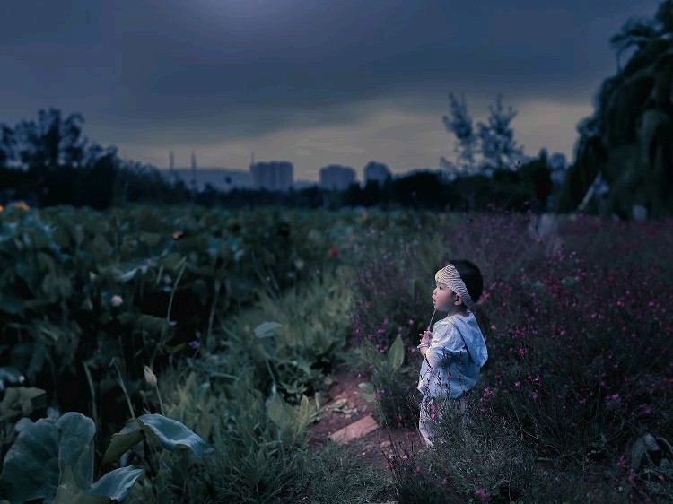 难得有晴天_木末zane-站酷ZCOOL