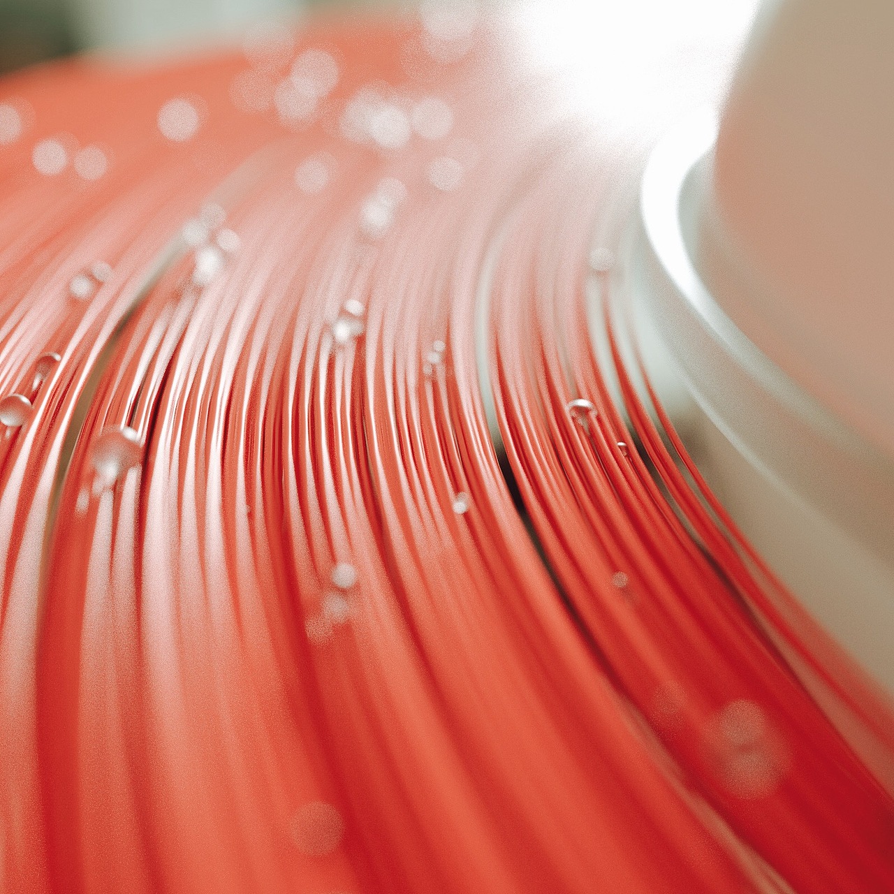 C4D|sss材质渲染练习_IpeterpanI-站酷ZCOOL