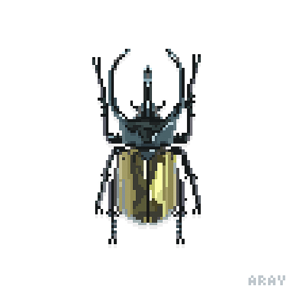 昆虫记·独角仙图鉴P1_Aray浩一-站酷ZCOOL