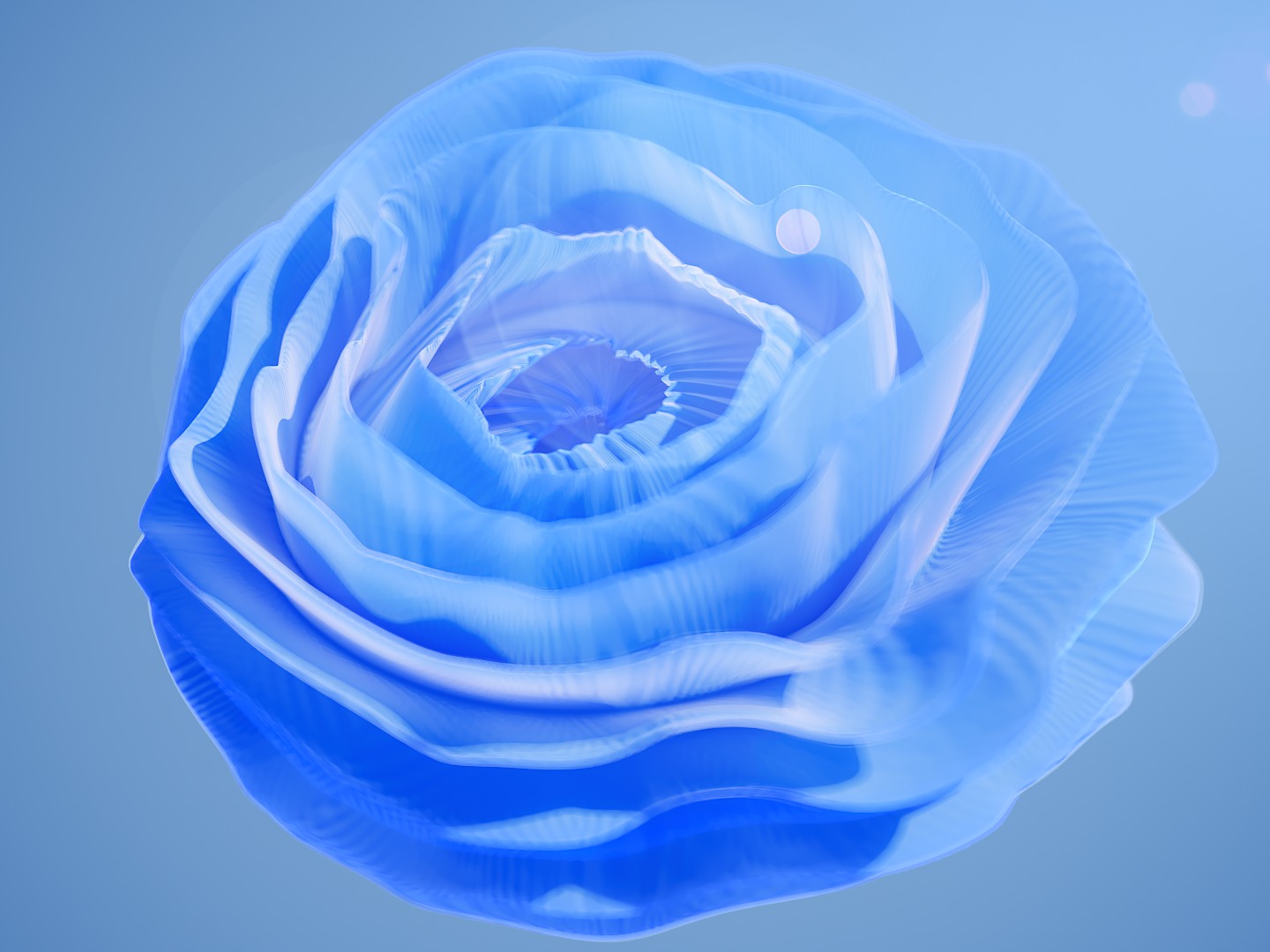 C4D Flower_JIF如果-站酷ZCOOL