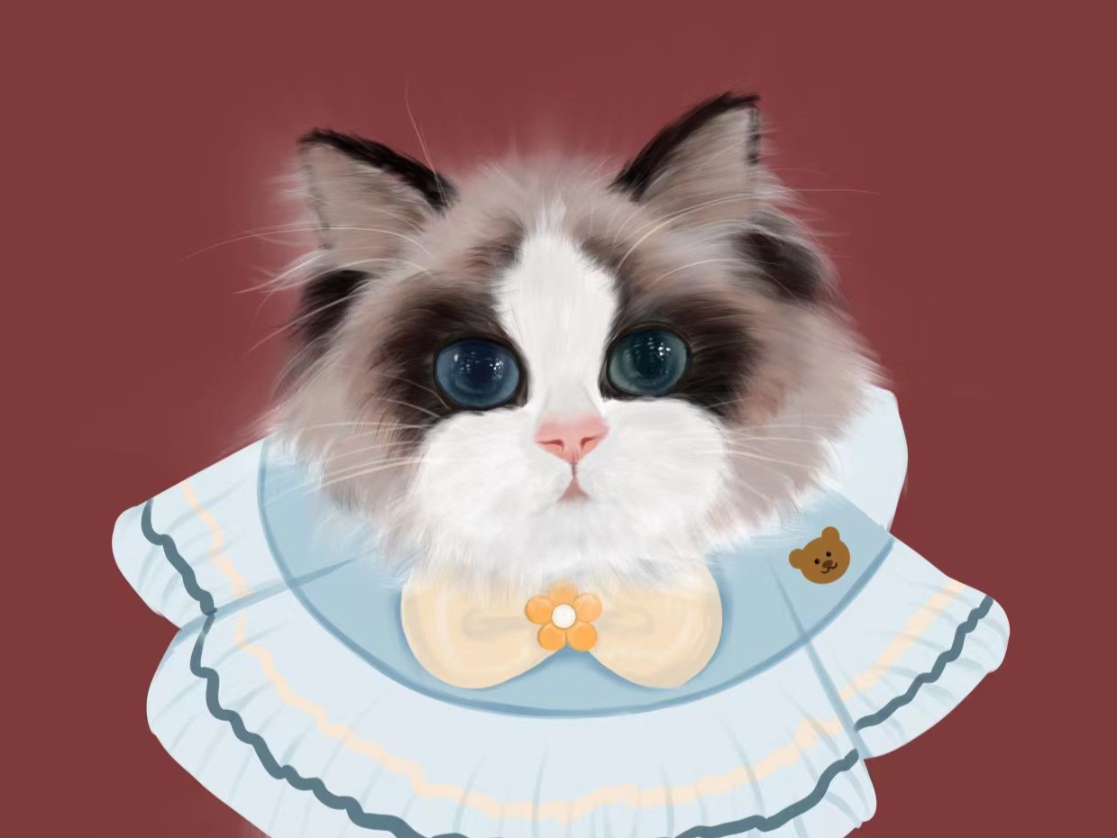 喵星人_请叫我雪媚liang-站酷ZCOOL