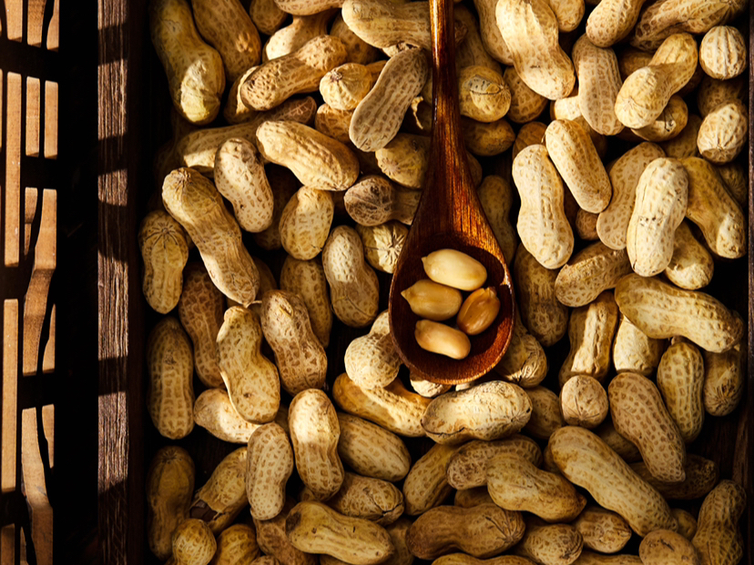 摄影｜花生_Lxh_QaQ-站酷ZCOOL