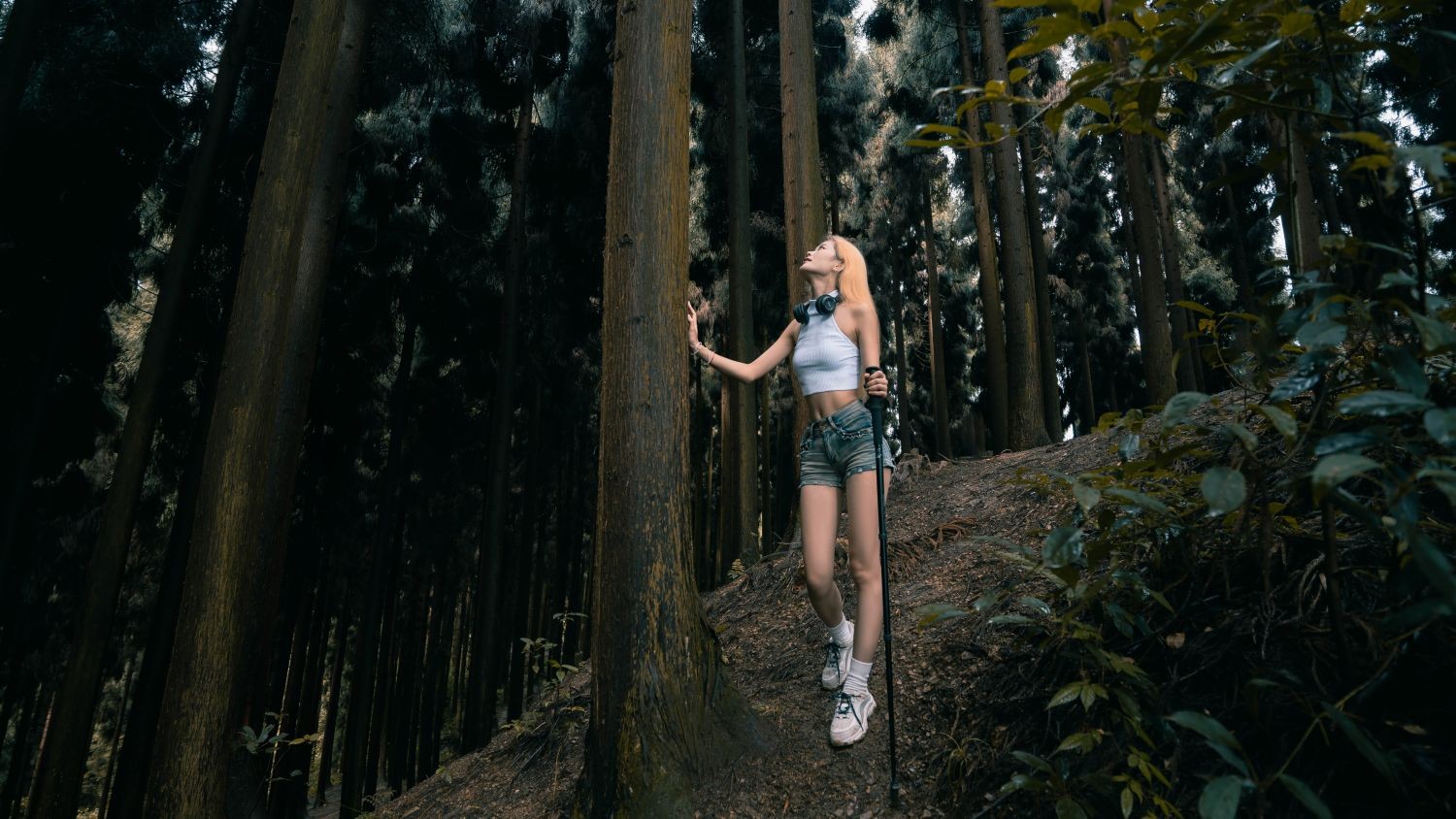 登山杖案例 | 户外登山拍摄 | 电商_洪叔不是红薯_-站酷ZCOOL