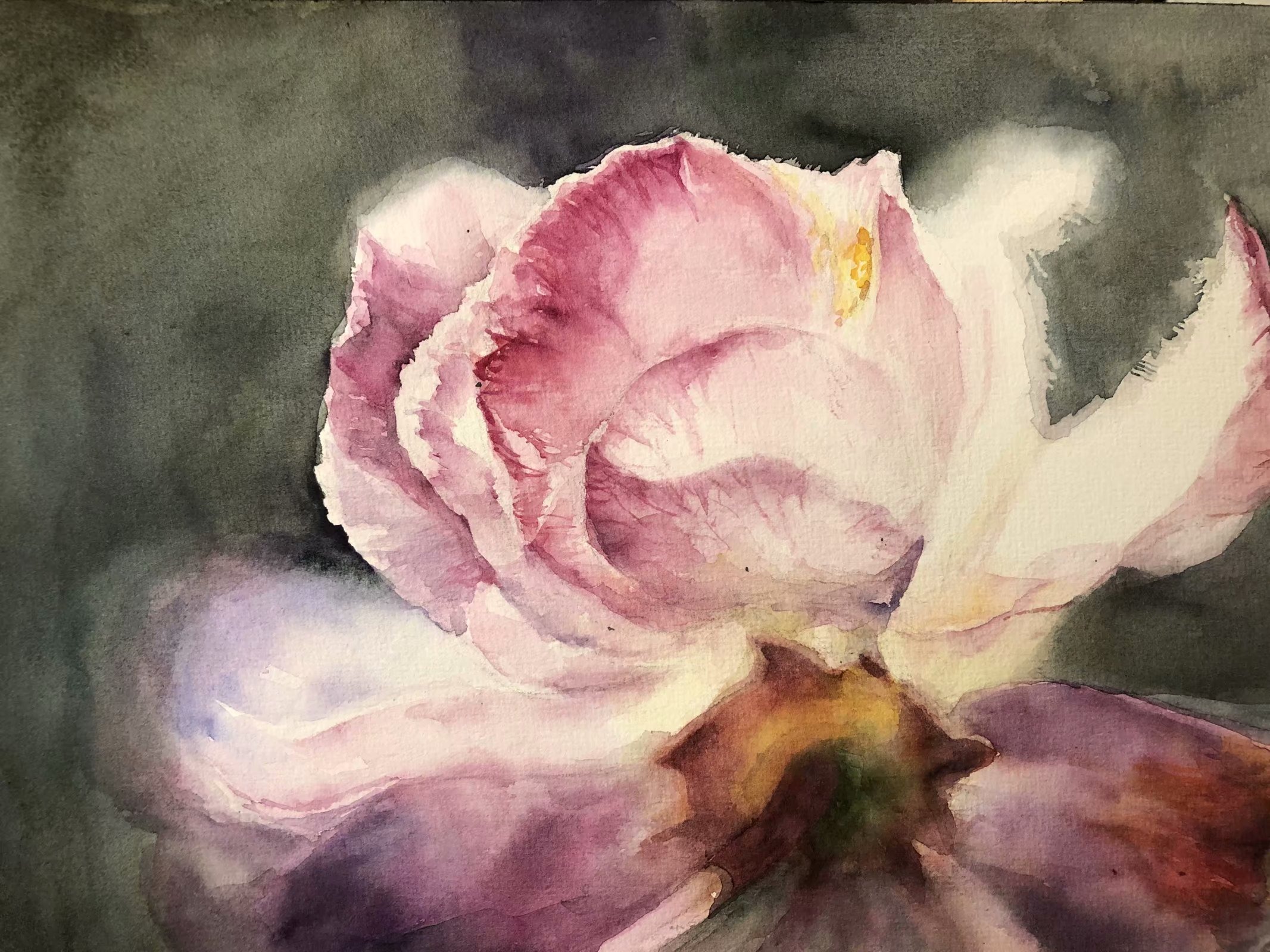 一朵野花_酱酱子1111-站酷ZCOOL