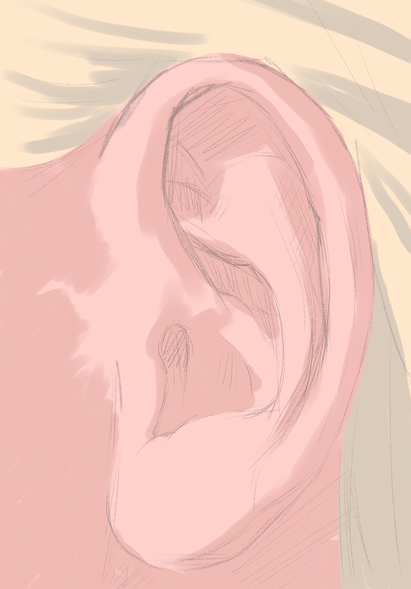 【画师繁星计划】活动-第五期第一周耳朵练习（色块)_插画师玄荒-站酷ZCOOL