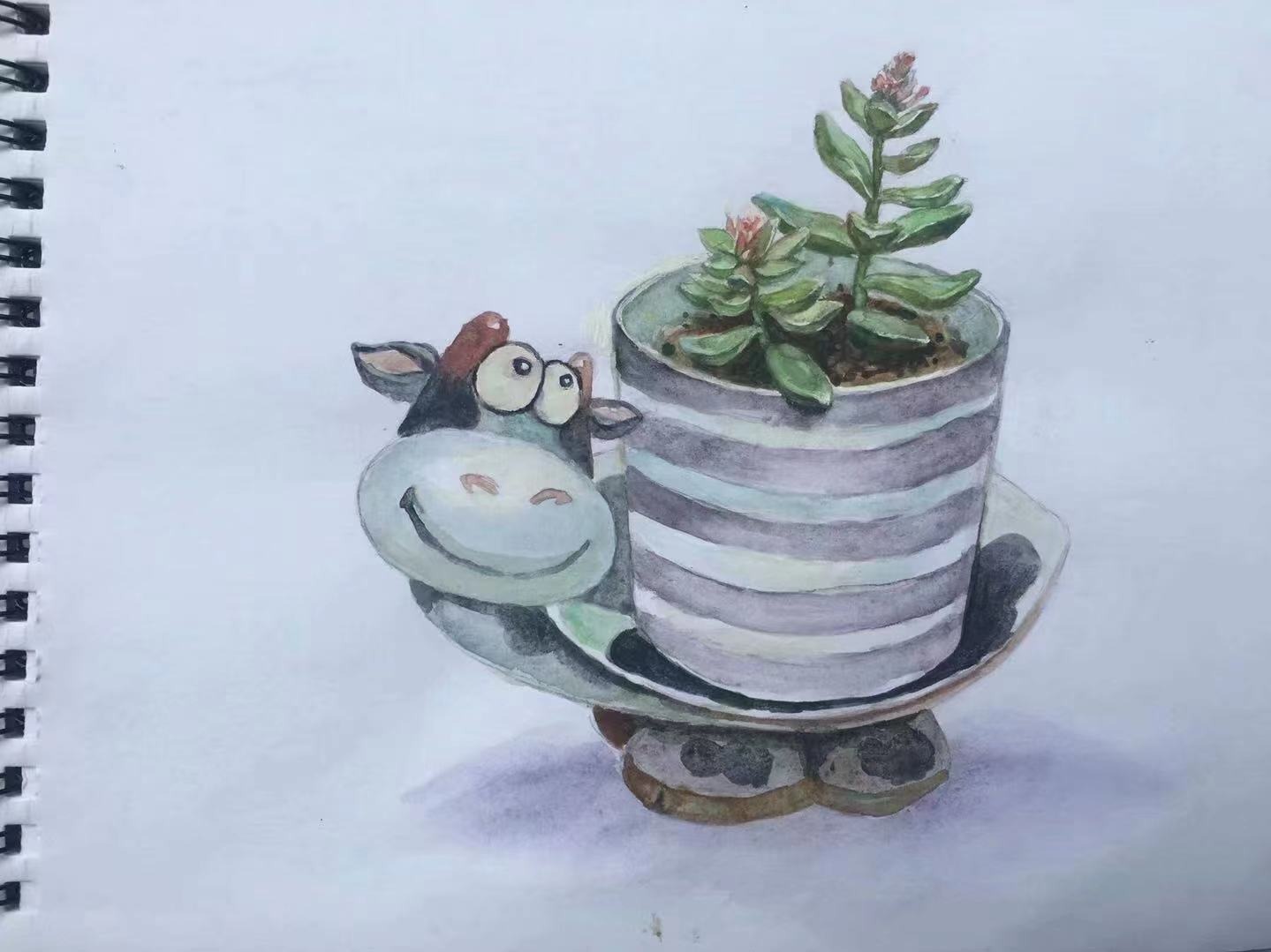 水彩-多肉_沁砚-站酷ZCOOL