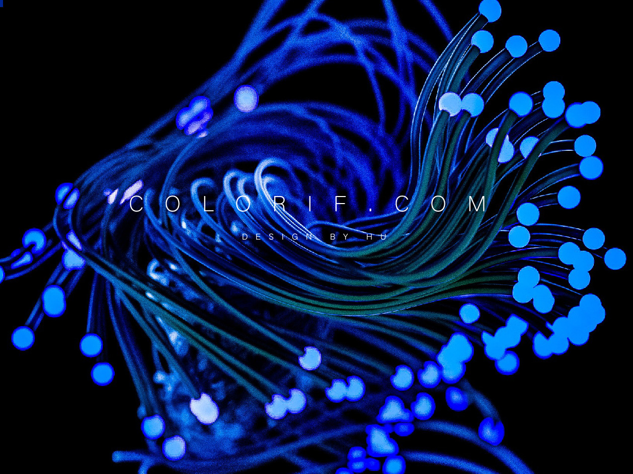 COLORIF 概念视觉 2018_HU119-站酷ZCOOL