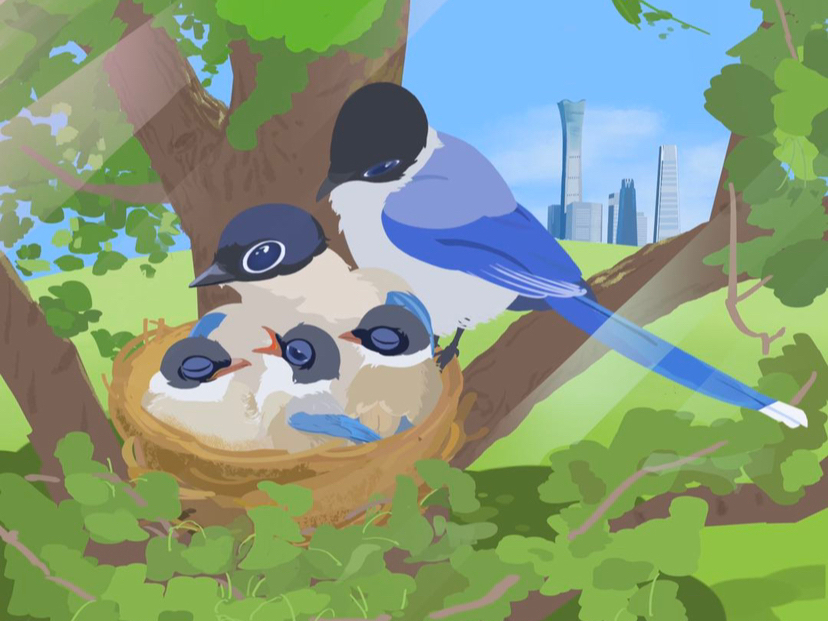 家园_data_data-站酷ZCOOL