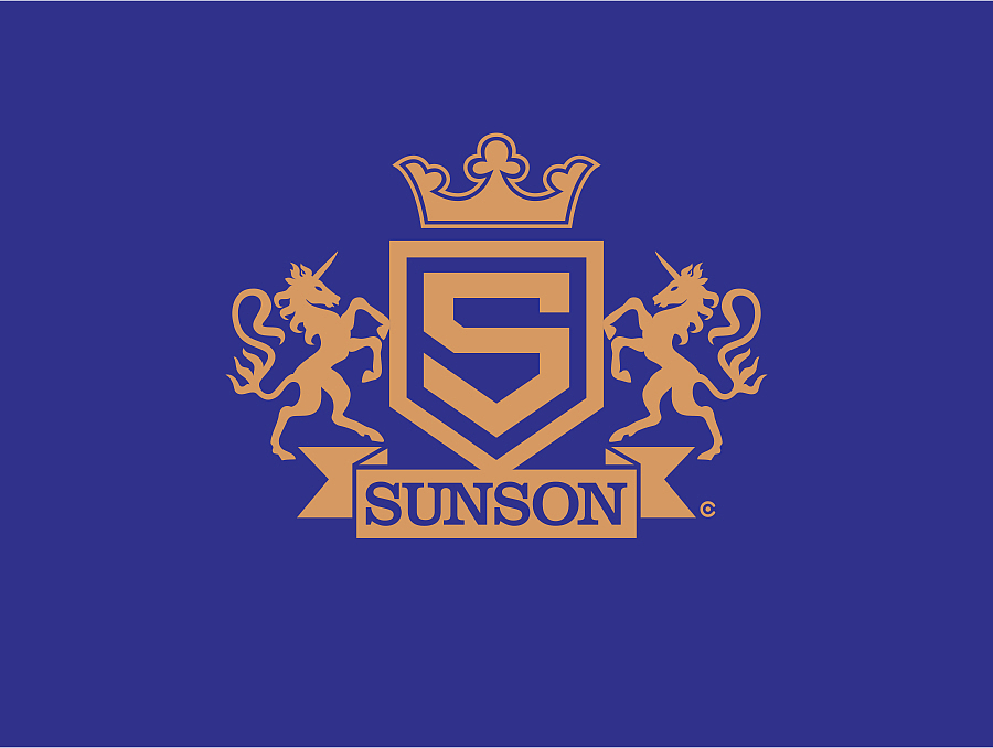 家居行业品牌：SUNSON_COOLOGO-站酷ZCOOL