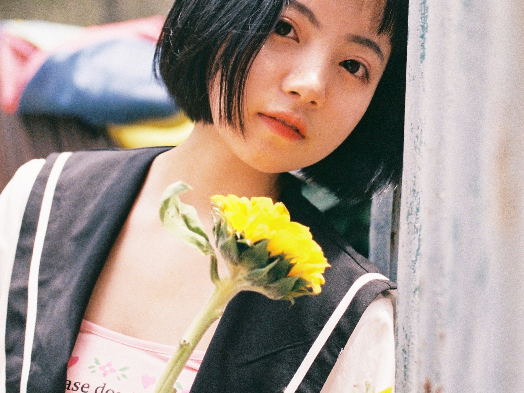 我的悠闲假期_太阳酱Catnip-站酷ZCOOL