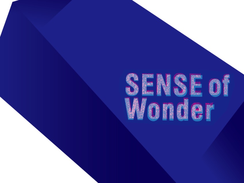 Sence of Wonder 展览视觉设计_Mai_yh-站酷ZCOOL