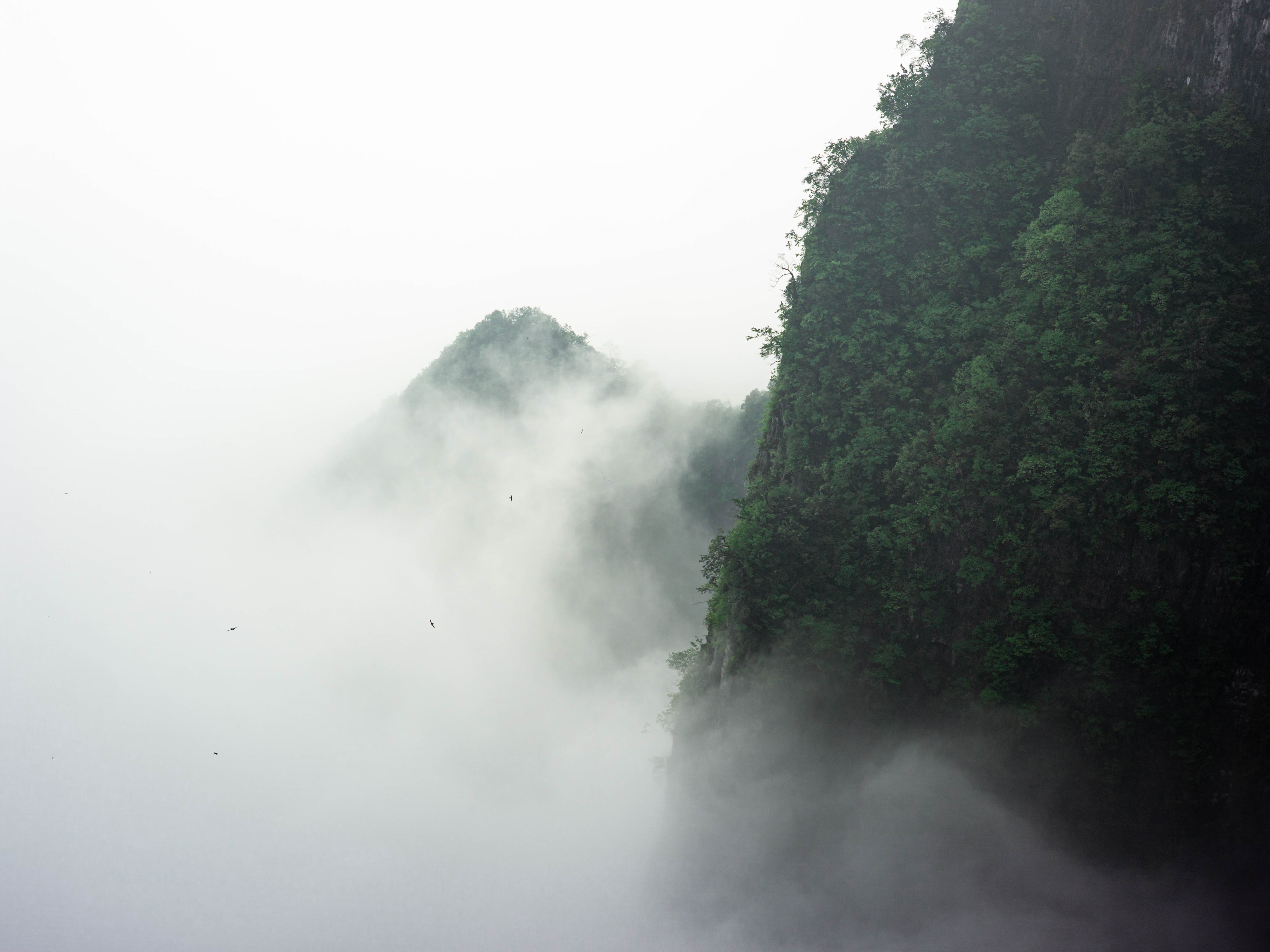 Misty Mountains - Zhang Jia Jie_Sirajus-站酷ZCOOL