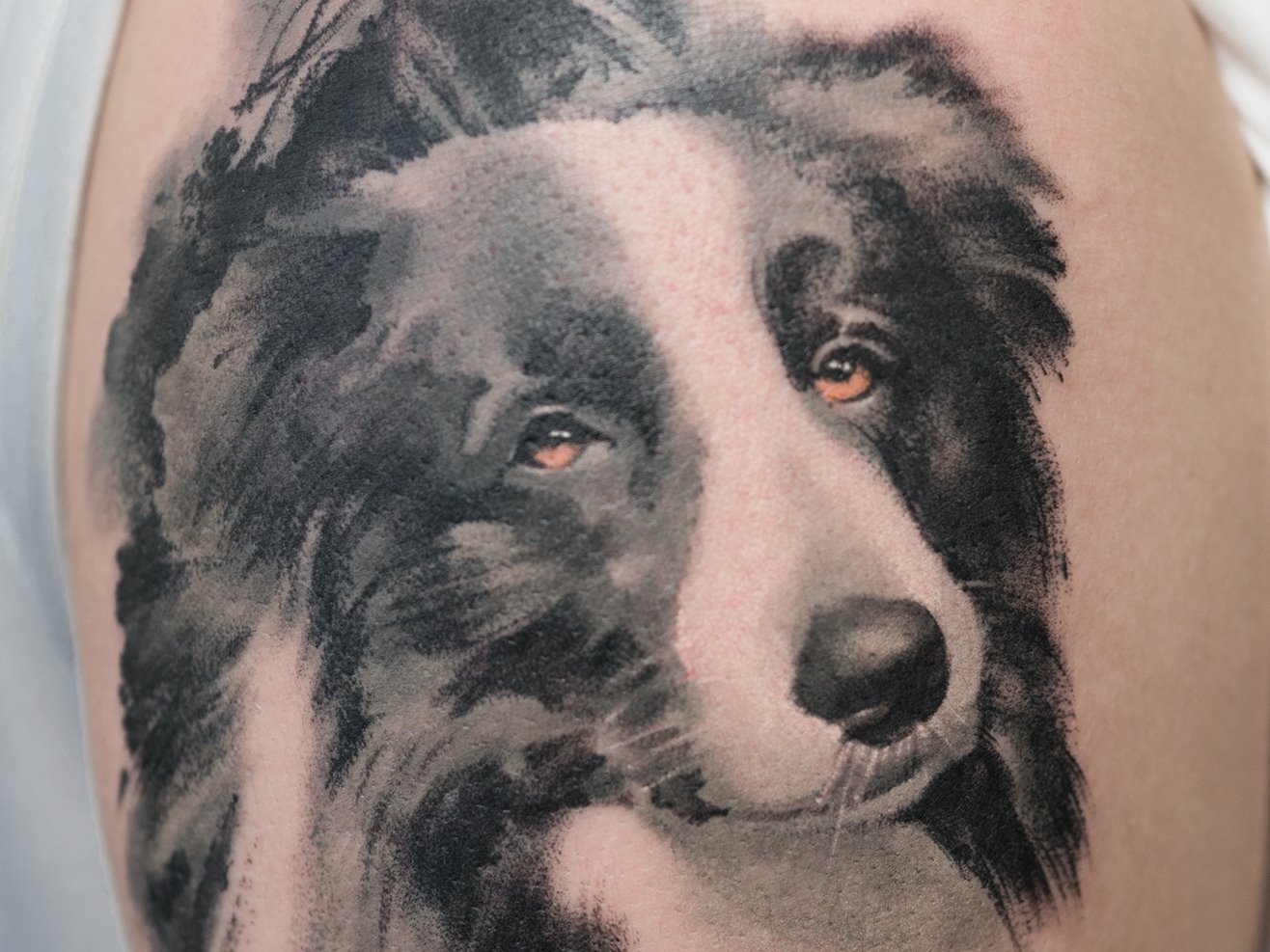 奥利奥_戊辰纹画-站酷ZCOOL